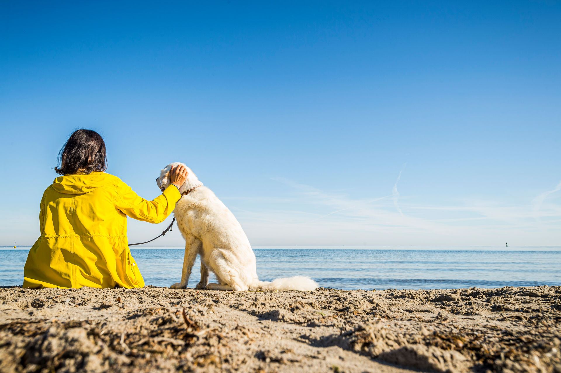 Urlaub mit Hund an der Ostsee | Ferienwohnung in Travemünde